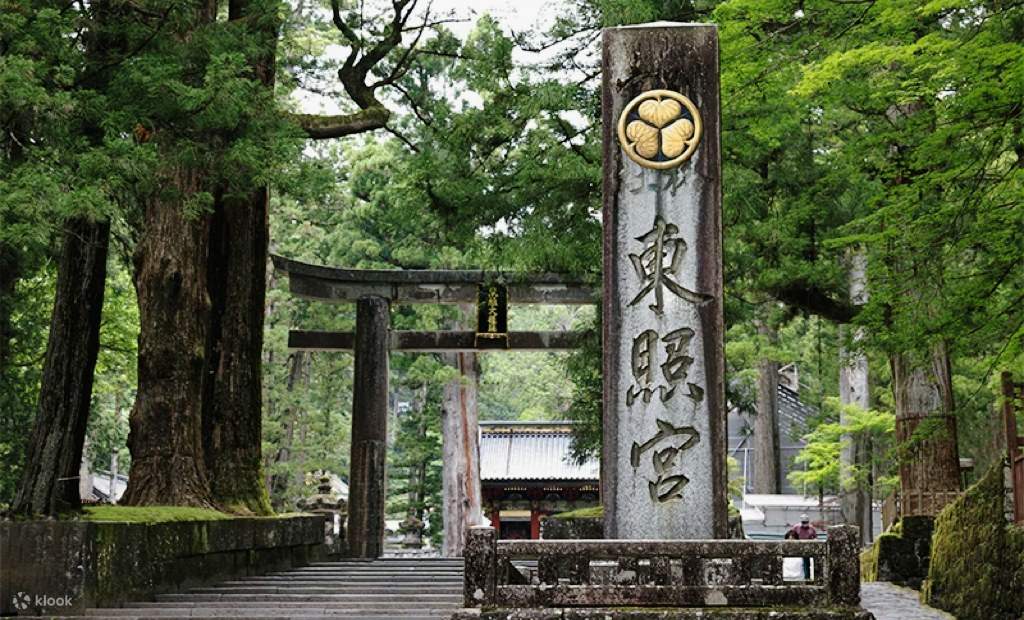 [Autumn Limited Nikko Autumn Leaves] Nikko Maple Viewing One-Day Tour ...